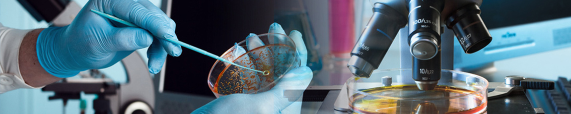 Jagadguru Sri Shivarathreeshwara University